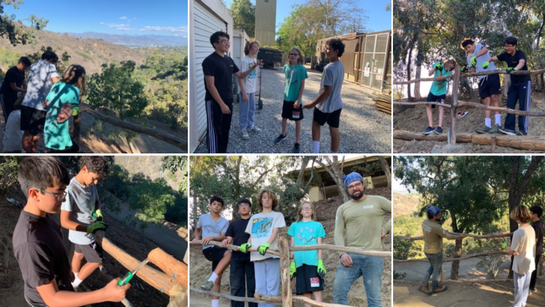 Local Boy Scout Leads Project to Repair Termite-Infested Trail Handrail ...