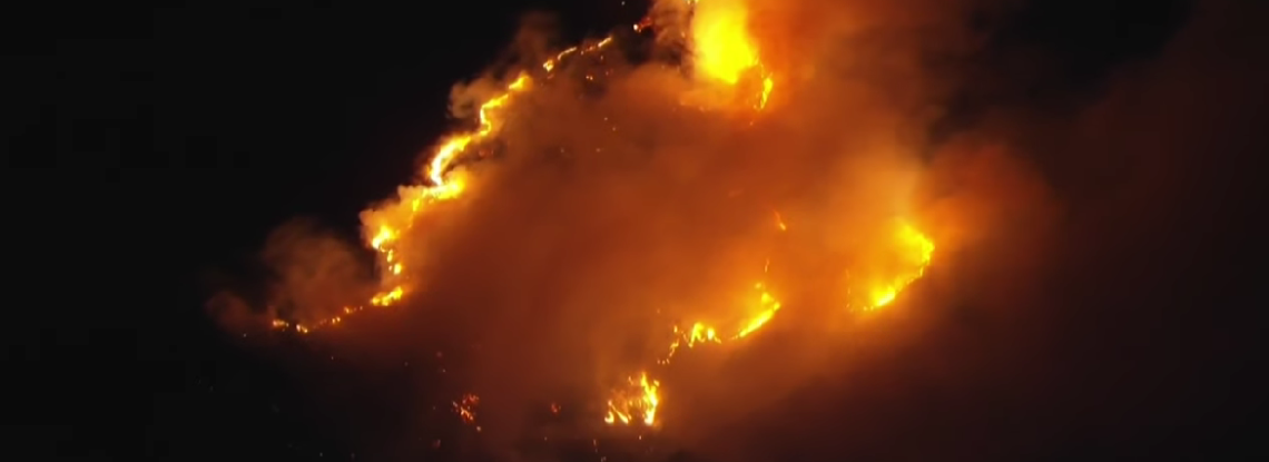 Late Night Brush Fire Near 405 Freeway In Bel Air Burns 20 Acres at ...